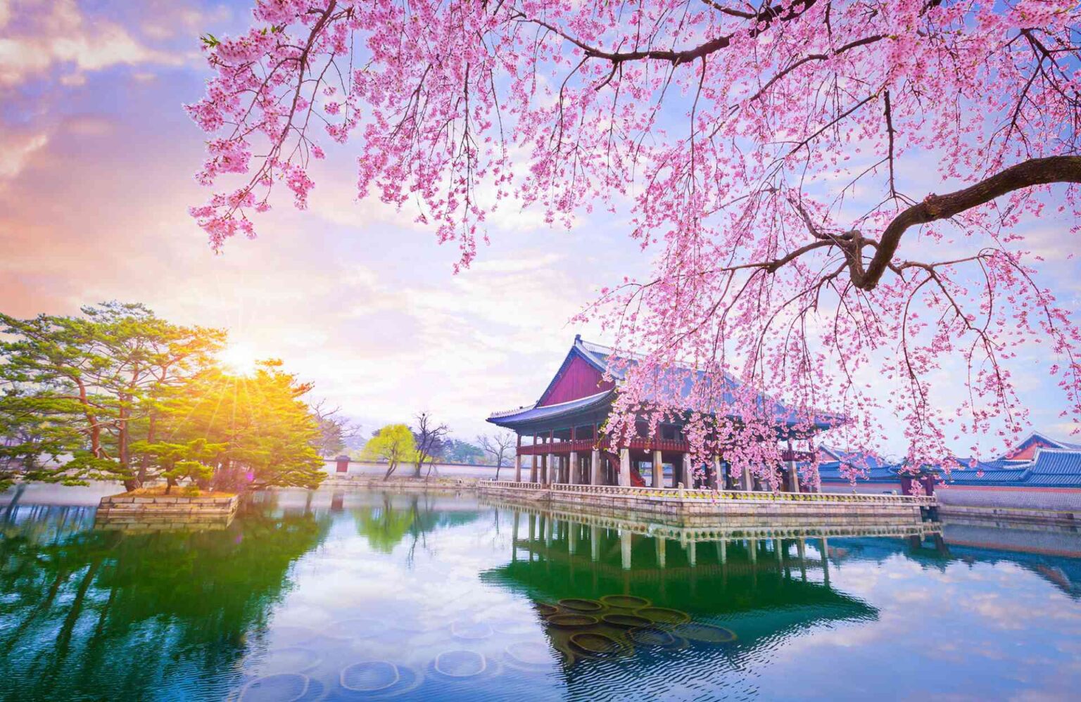 Exploring South Korea: The Ultimate Bucket List of Best Things to Do in ...